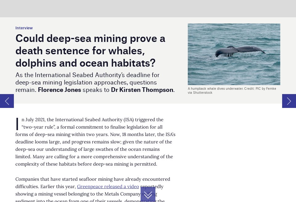 Could deep-sea mining prove a death sentence for whales, dolphins and ... Could deep-sea mining prove a death sentence for whales, dolphins and ...