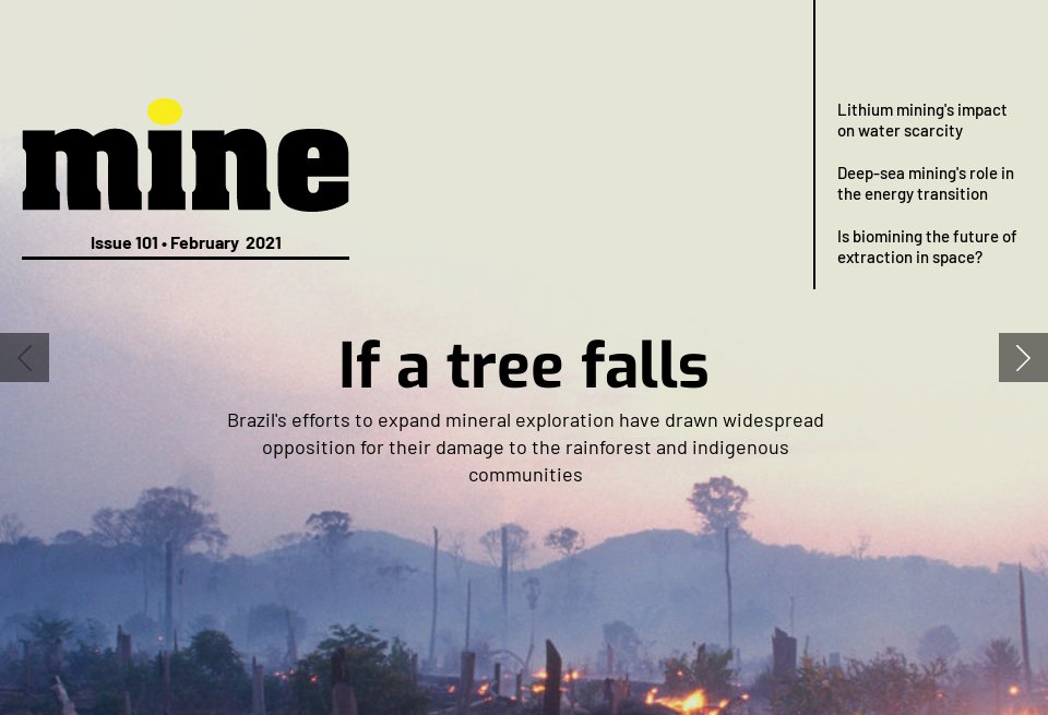 Home | If a tree falls - Mine | Issue 101 | February 2021